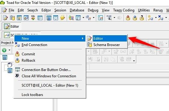 The Toad for Oracle Editor Window