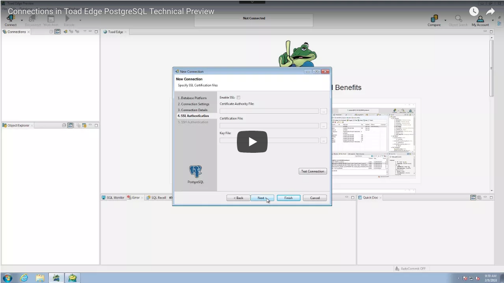 Connections in Toad Edge PostgreSQL Technical Preview
